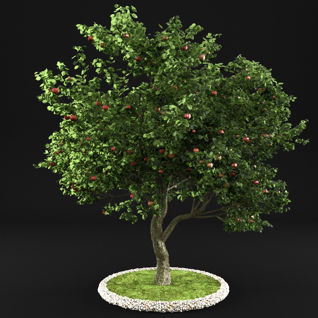 3D apple tree - TurboSquid 1159261