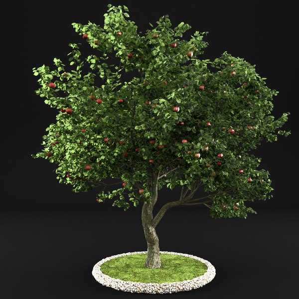 Apple tree model - TurboSquid 1159244