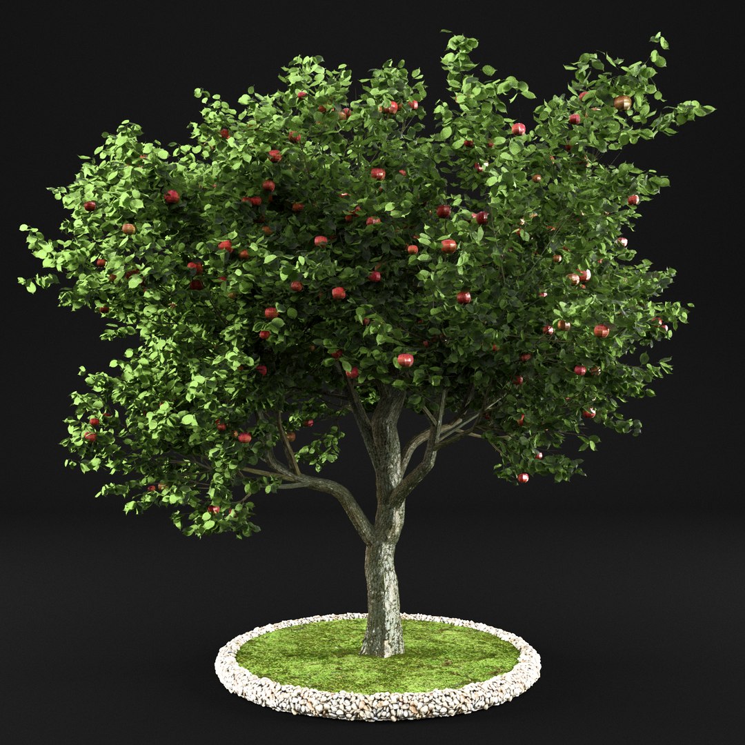 3D apple tree - TurboSquid 1159261