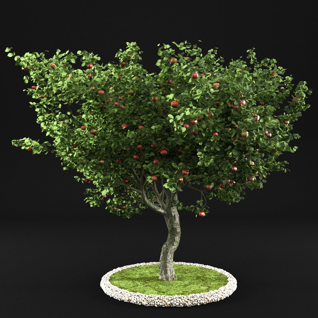 3D apple tree - TurboSquid 1159261