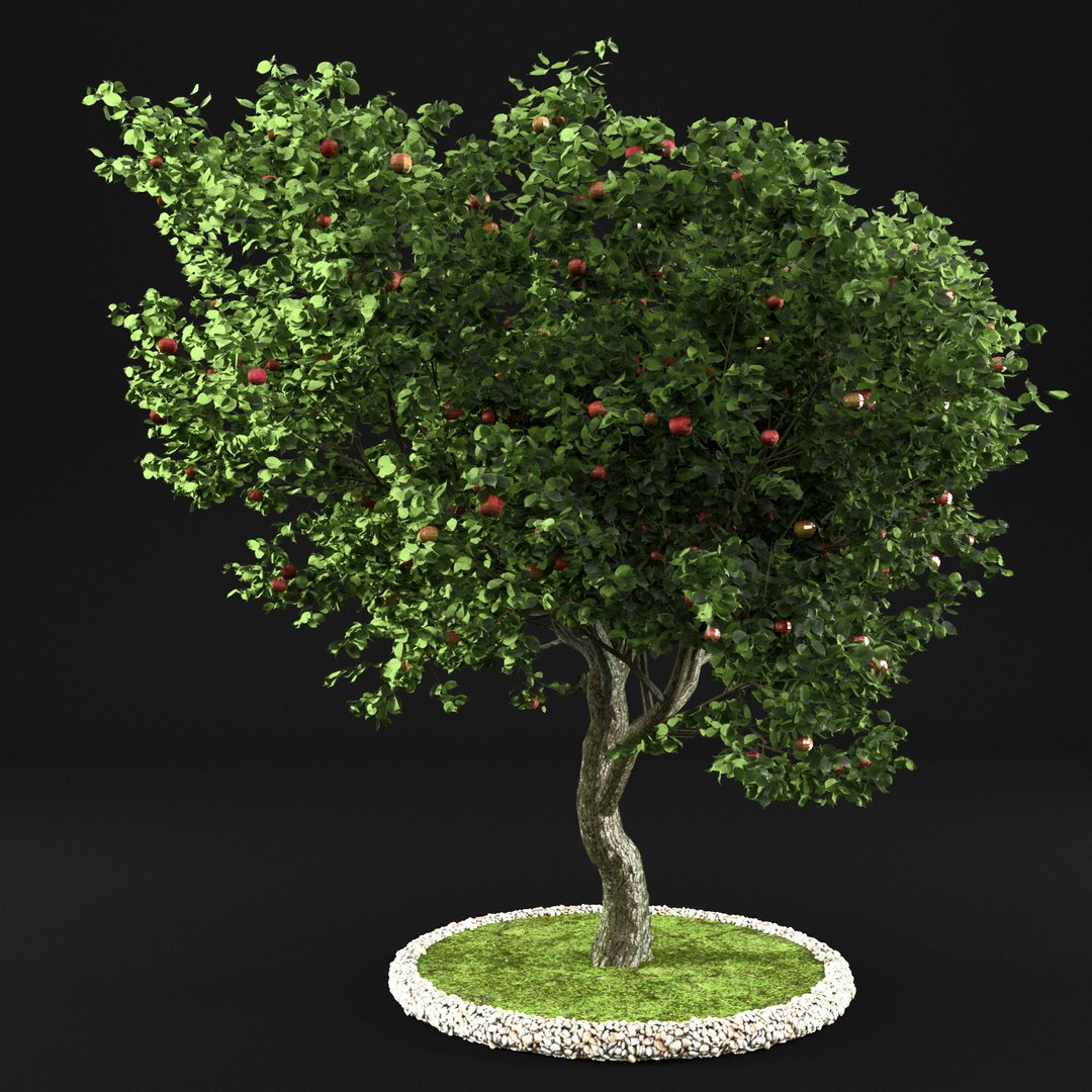 3D apple tree - TurboSquid 1159261