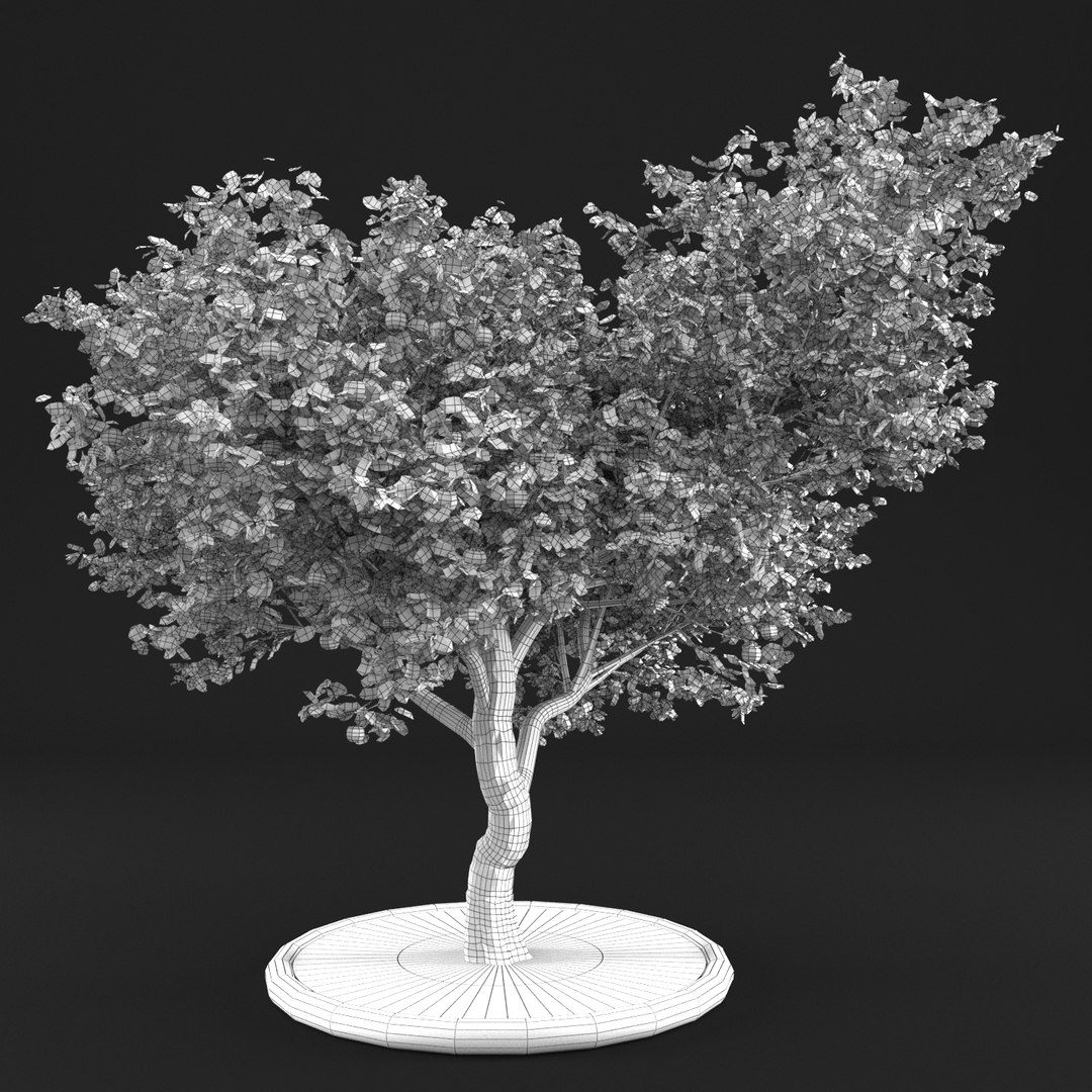 3D apple tree - TurboSquid 1159261