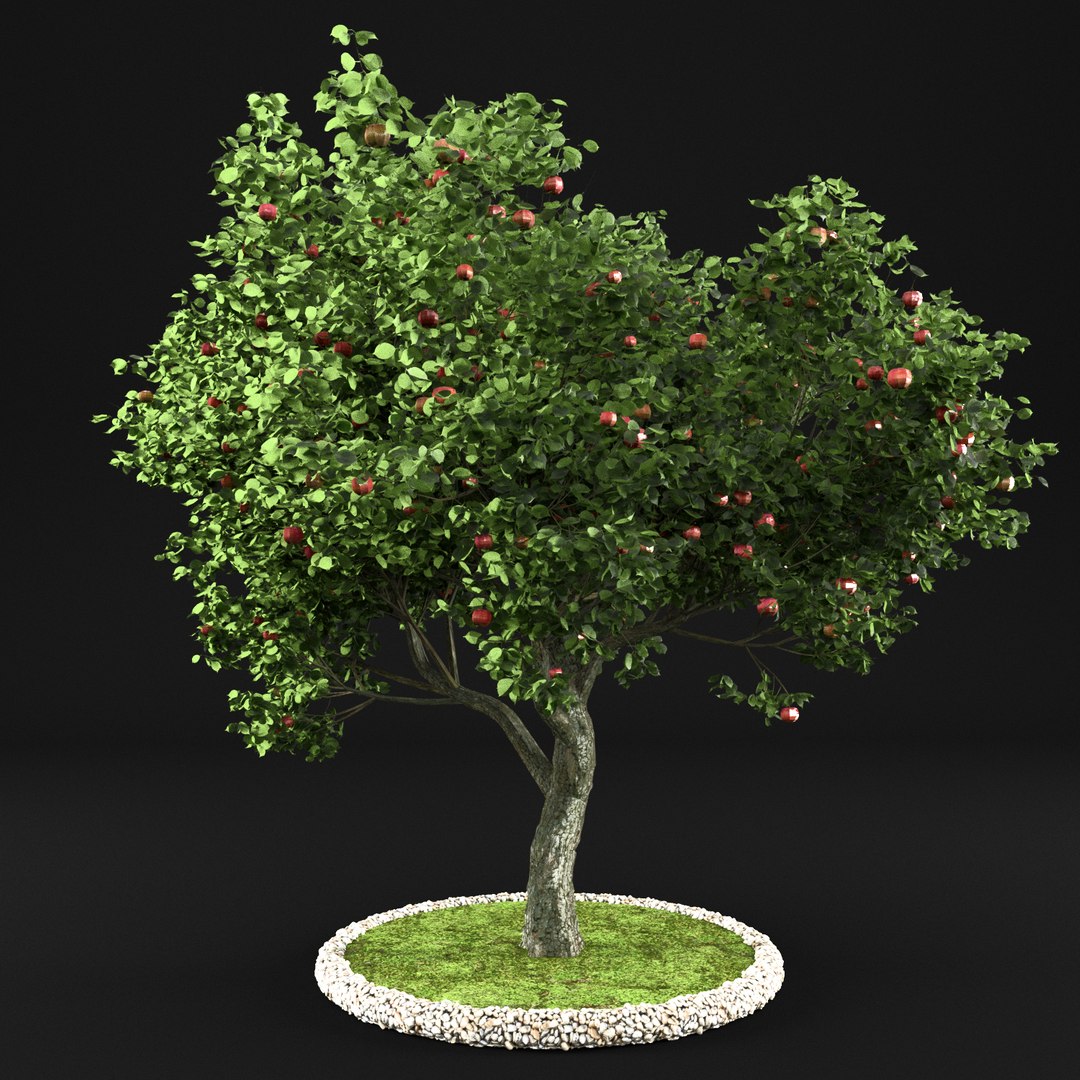 3D apple tree - TurboSquid 1159261