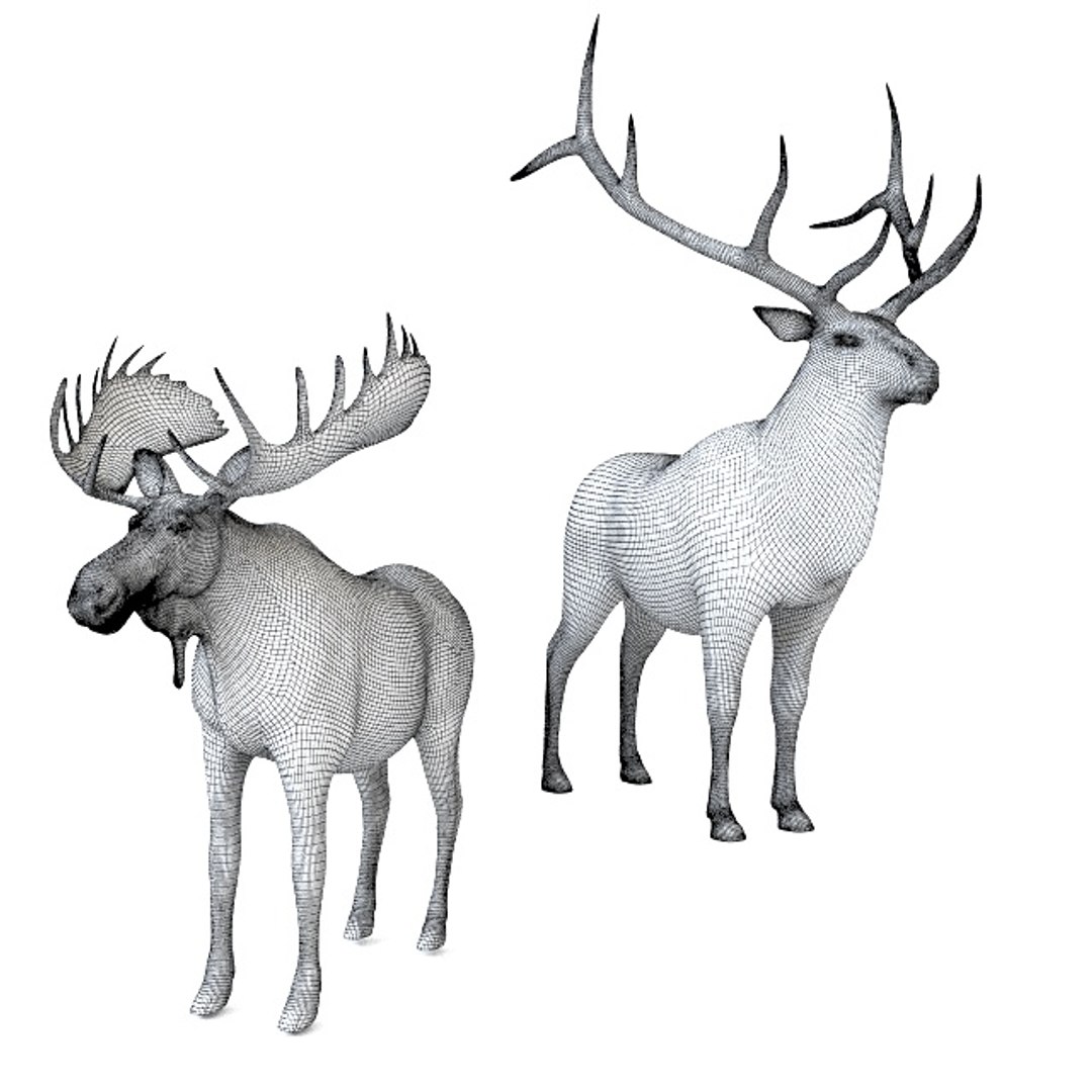 Deer Elk 3D - TurboSquid 1198876