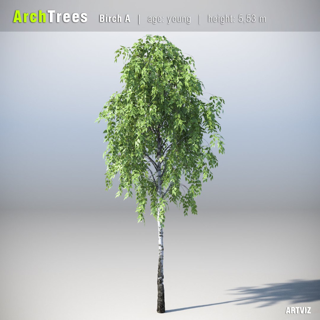 3ds max archtrees trees