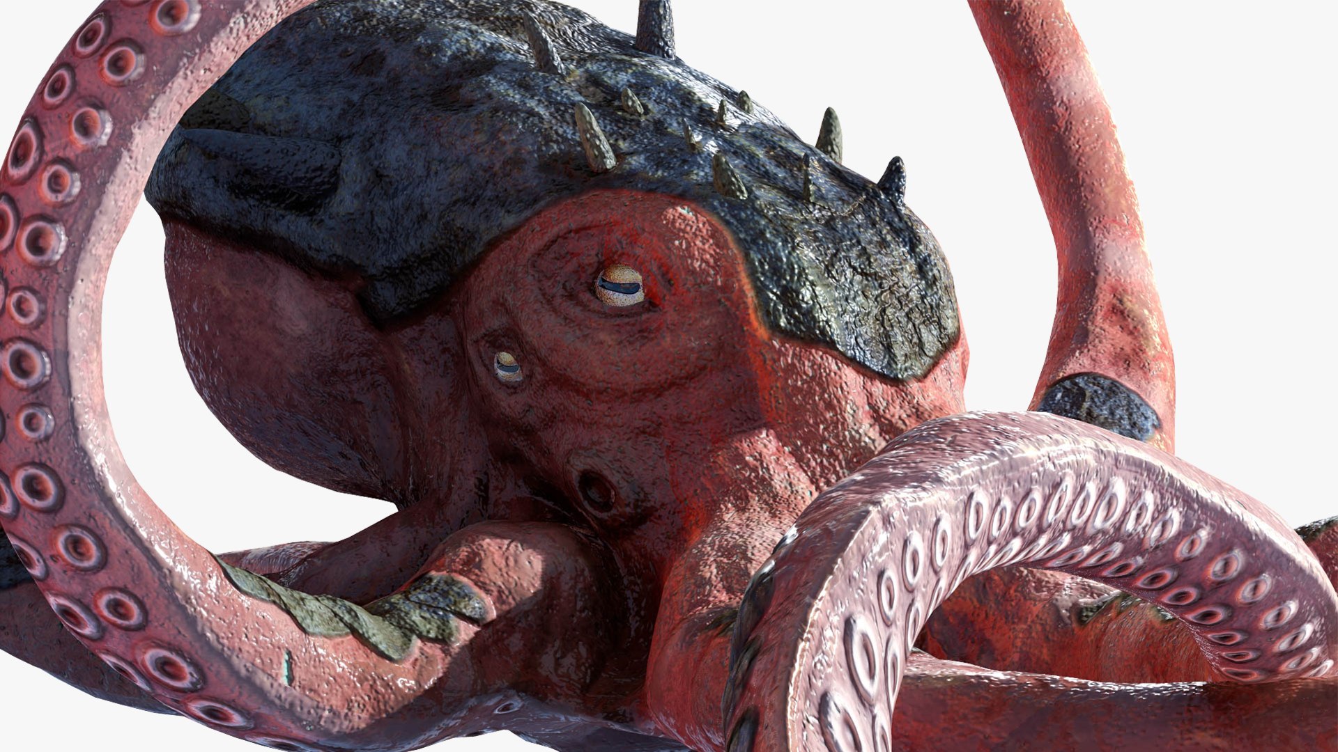 3D Kraken Monster Creature - TurboSquid 1686630