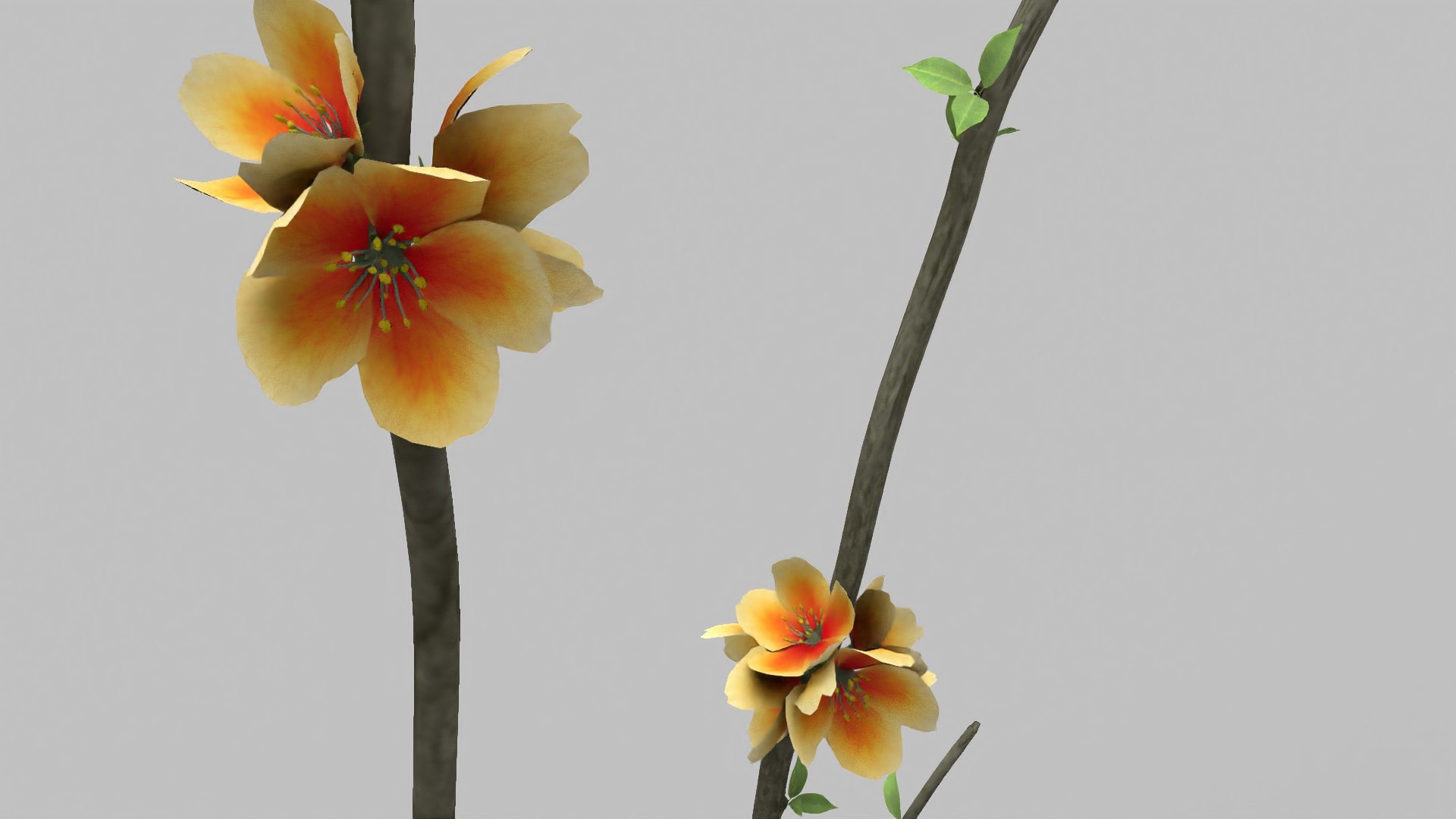 Potted tree branch model - TurboSquid 1623530