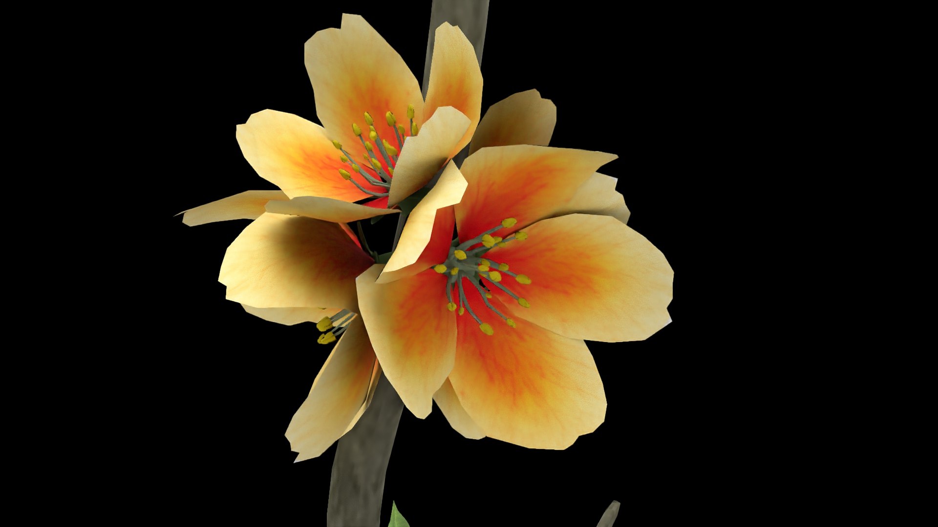 Potted tree branch model - TurboSquid 1623530