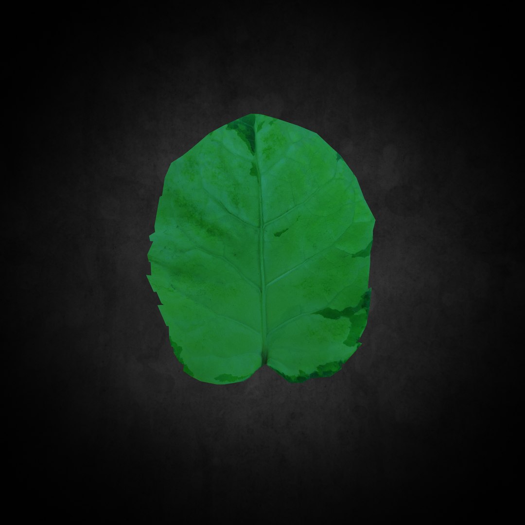 Low Poly Leaf 058 Model - TurboSquid 1852436