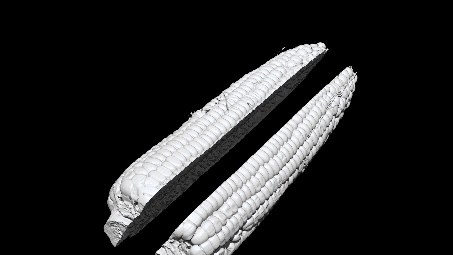 3D Model Corn 3D CT Scan Model Cut1 Decimate 80 Percent - TurboSquid ...