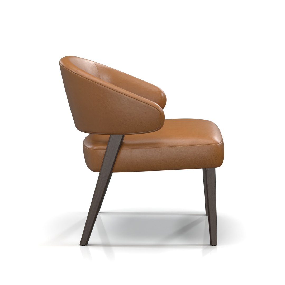 Cahn Cocktail Lounge Chair 3D Model - TurboSquid 2235260