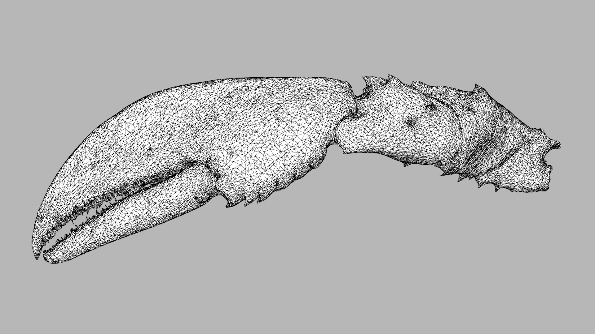 3D Cooked Lobster Model - TurboSquid 1648553