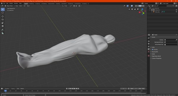 Cadáver coberto com bolsa para cadáveres Modelo 3D - TurboSquid 1575801