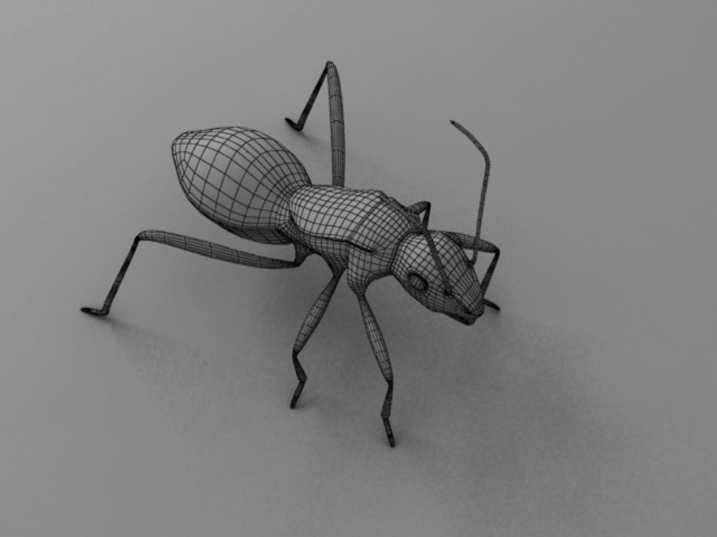 3D Ant Model - TurboSquid 646214