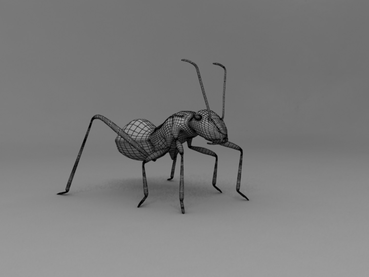 3D Ant Model - TurboSquid 646214