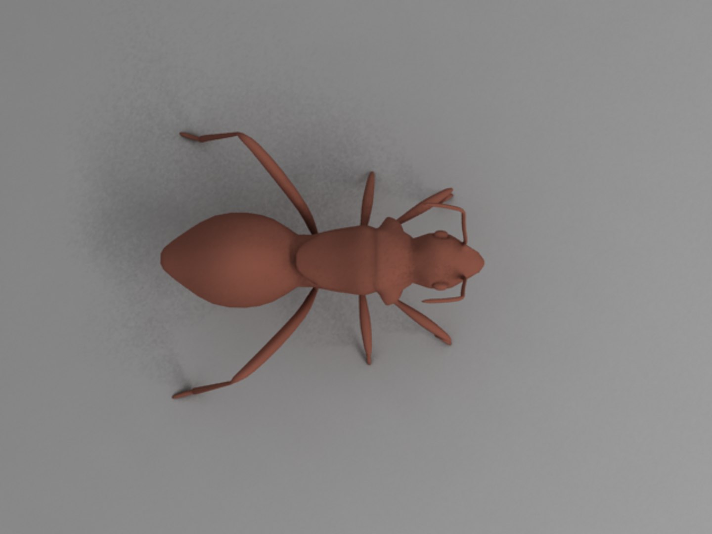 3D Ant Model - TurboSquid 646214