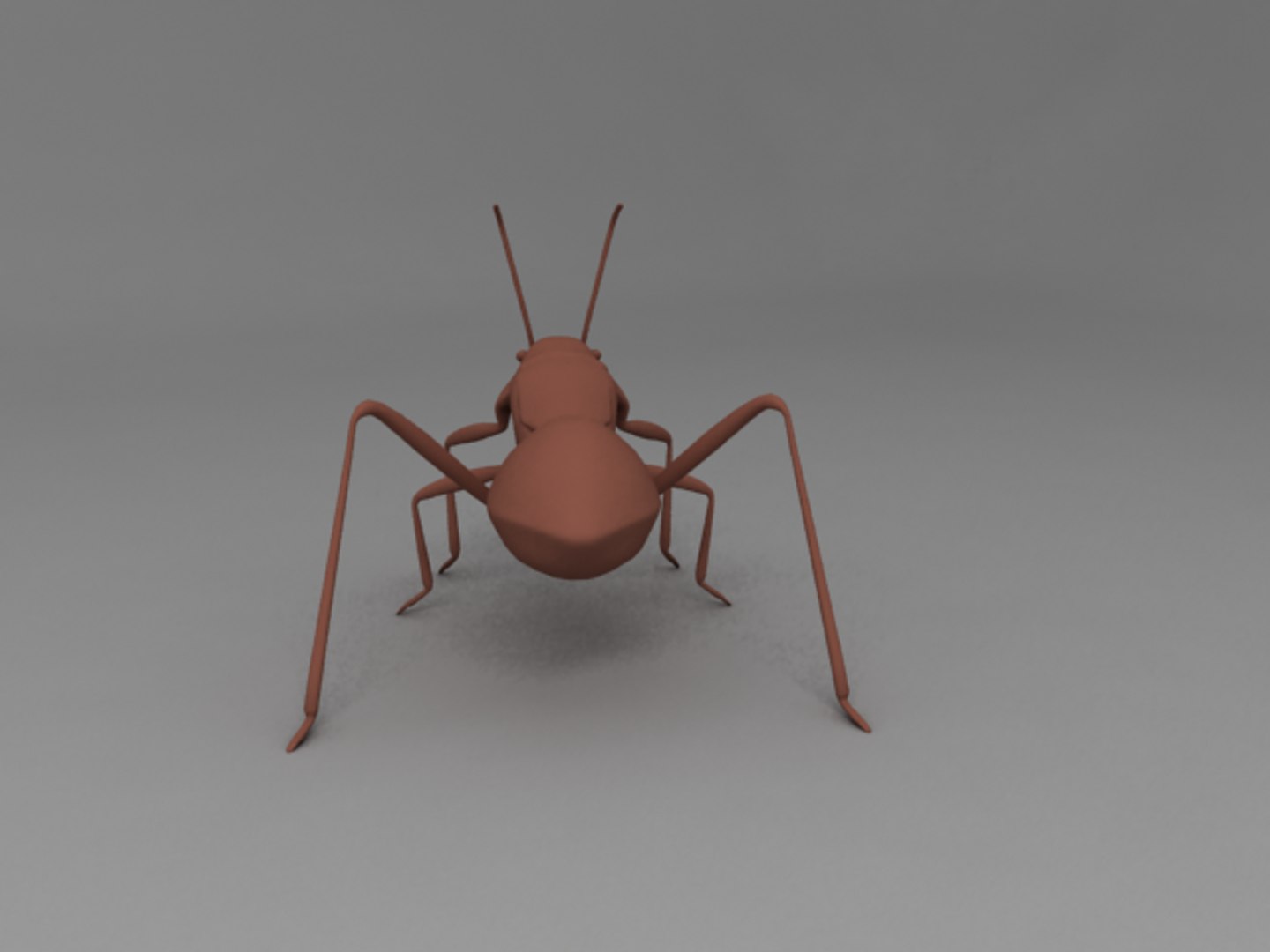 3D Ant Model - TurboSquid 646214