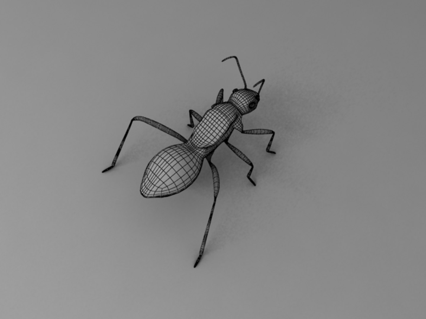 3D Ant Model - TurboSquid 646214