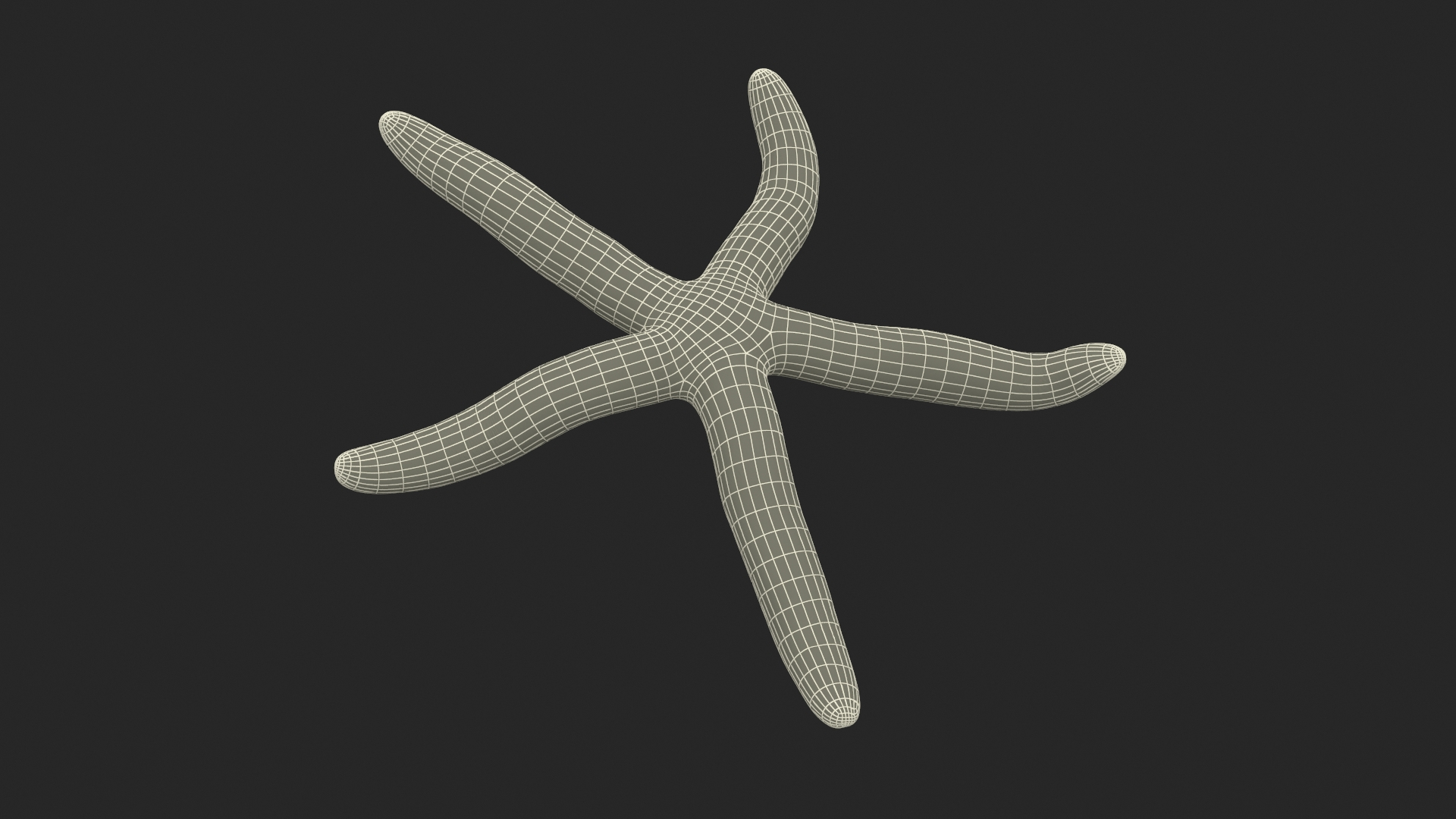3D Sea Starfish Crawling Pose Model - TurboSquid 2223328