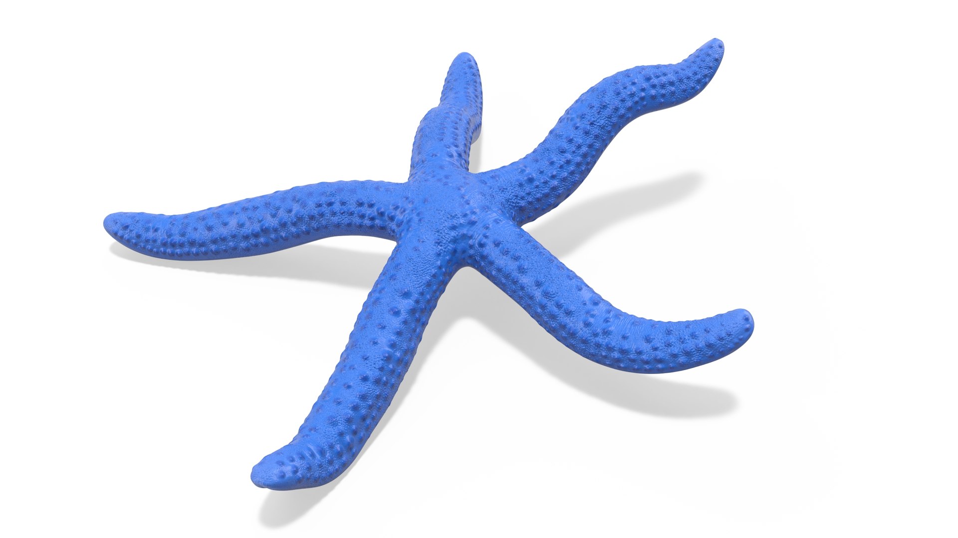 3D Sea Starfish Crawling Pose Model - TurboSquid 2223328