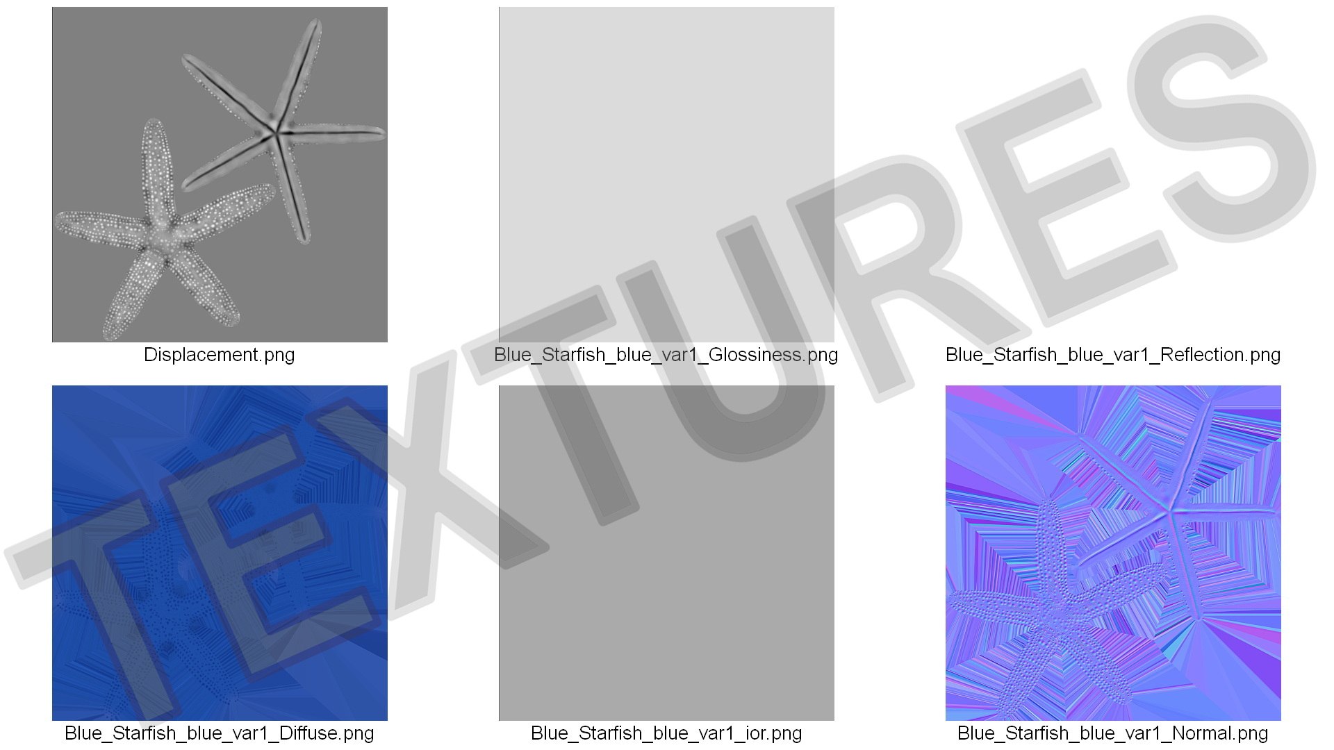 3D Sea Starfish Crawling Pose Model - TurboSquid 2223328