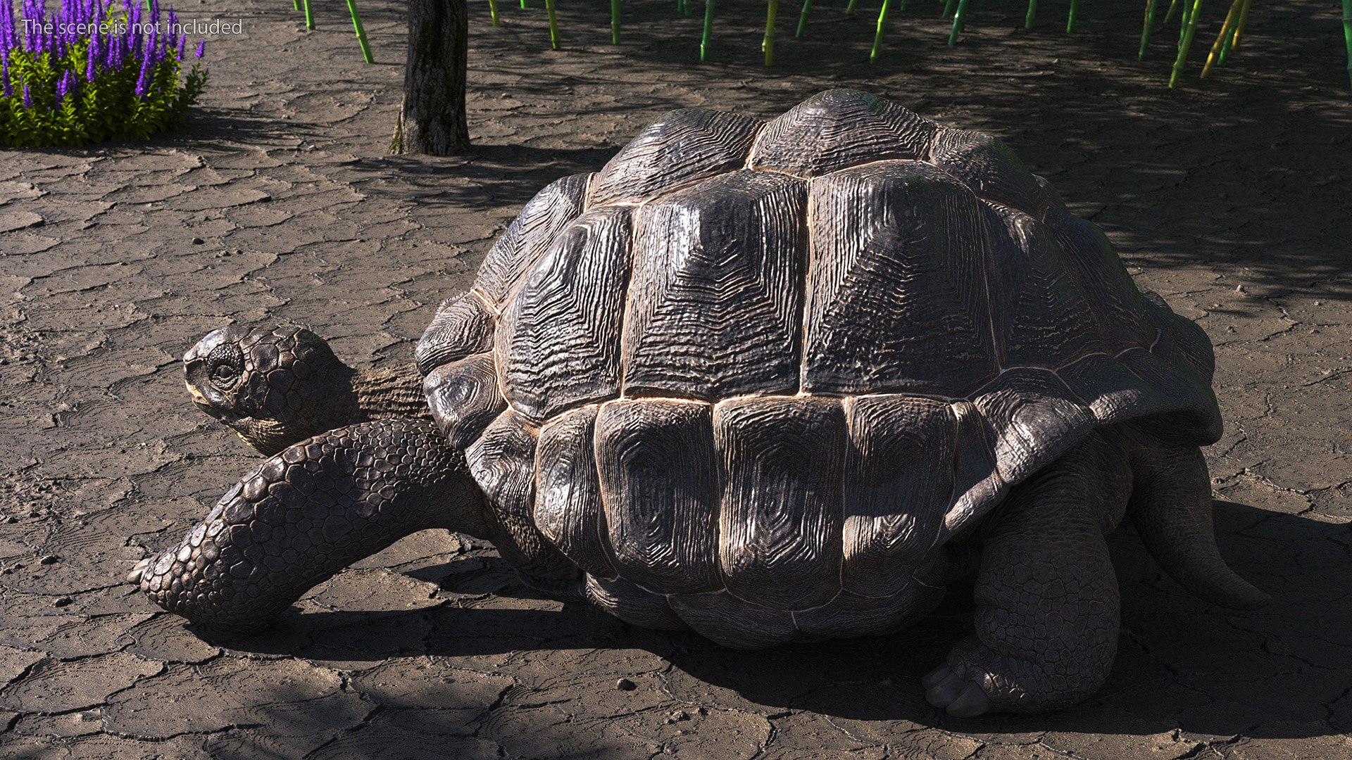 3D Giant Turtle Lying Down Pose - TurboSquid 2113698