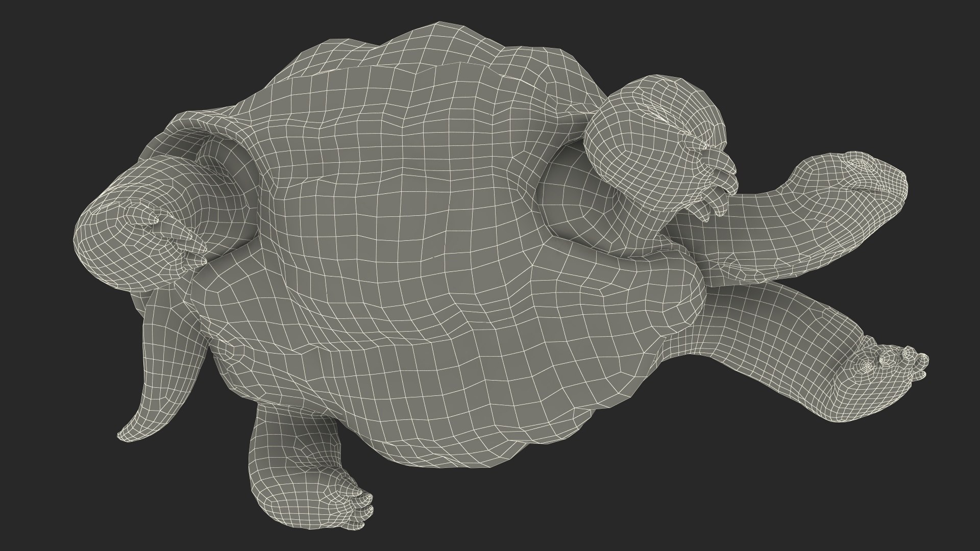 3D Giant Turtle Lying Down Pose - TurboSquid 2113698
