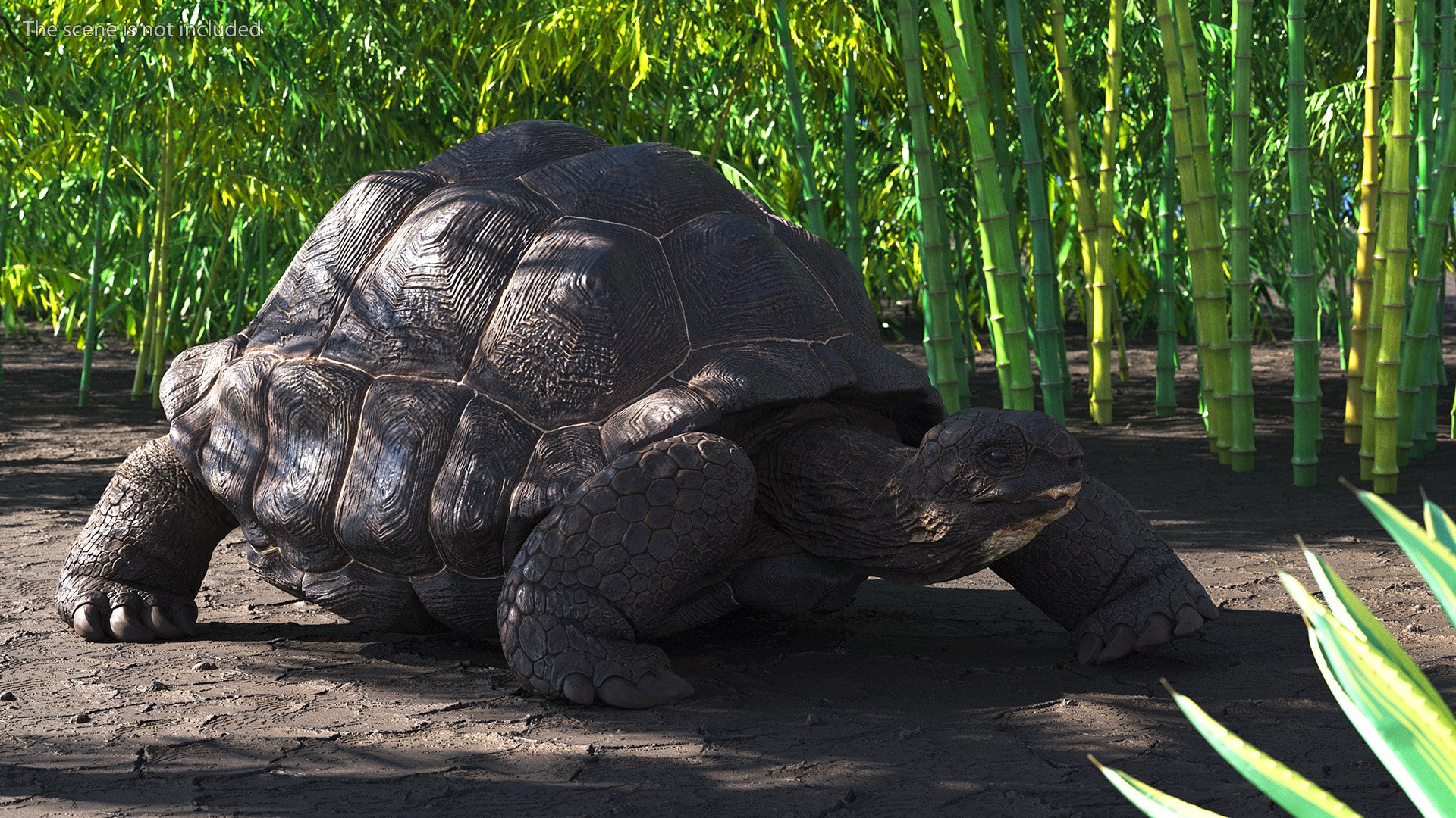 3D Giant Turtle Lying Down Pose - TurboSquid 2113698