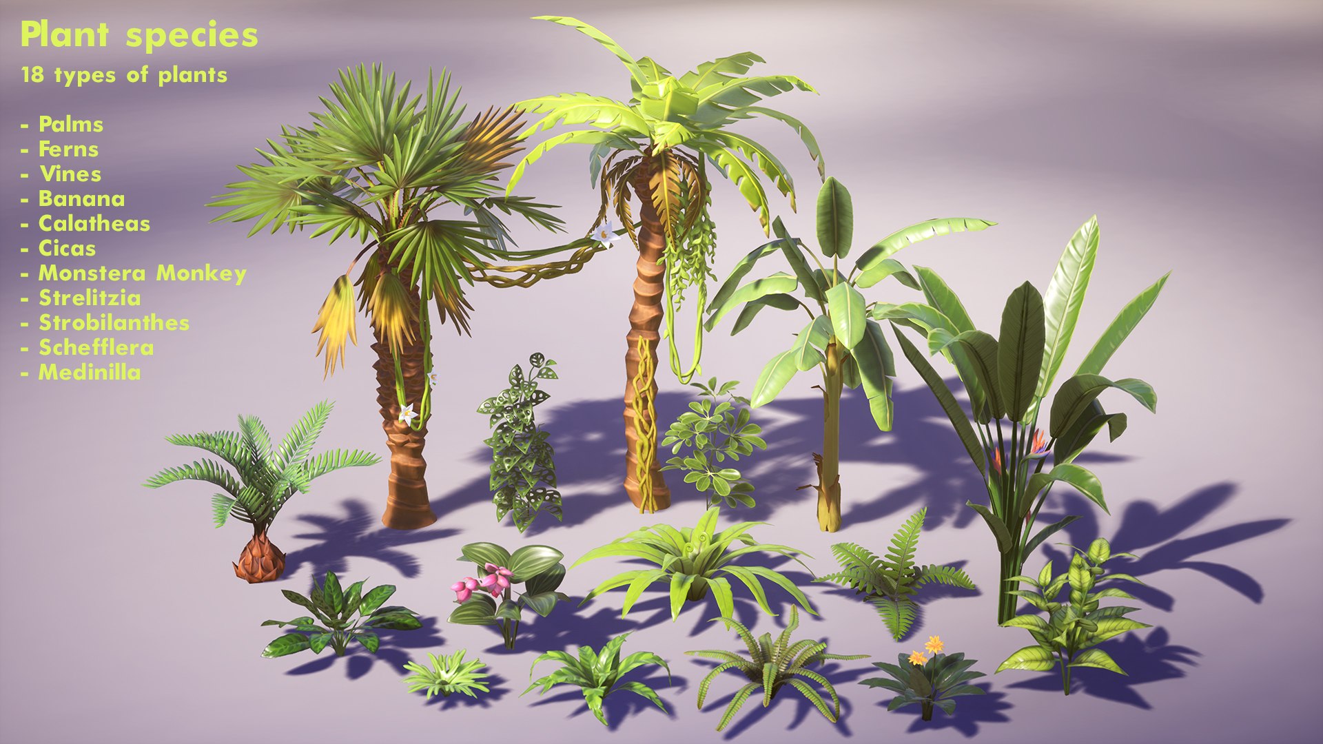 3D Tropical Plants Pack - TurboSquid 2086710