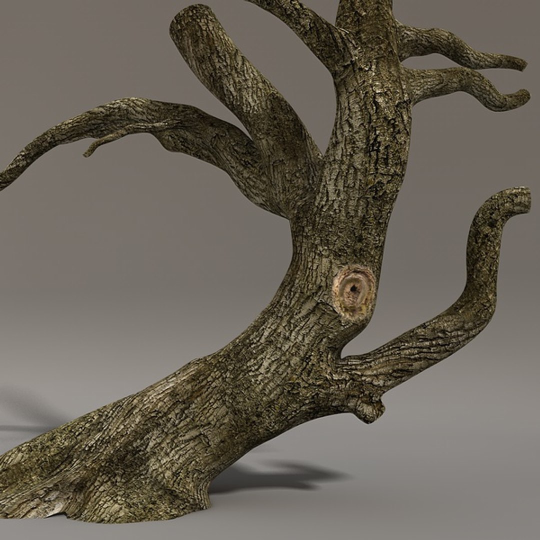 3d Timber Branches Model