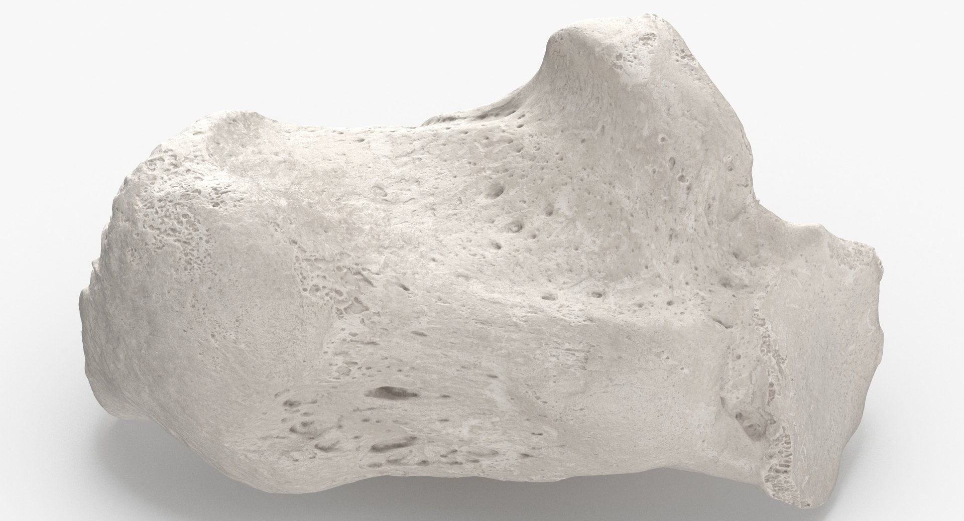 Calcaneus Bone 01 White 3D Model - TurboSquid 1567913