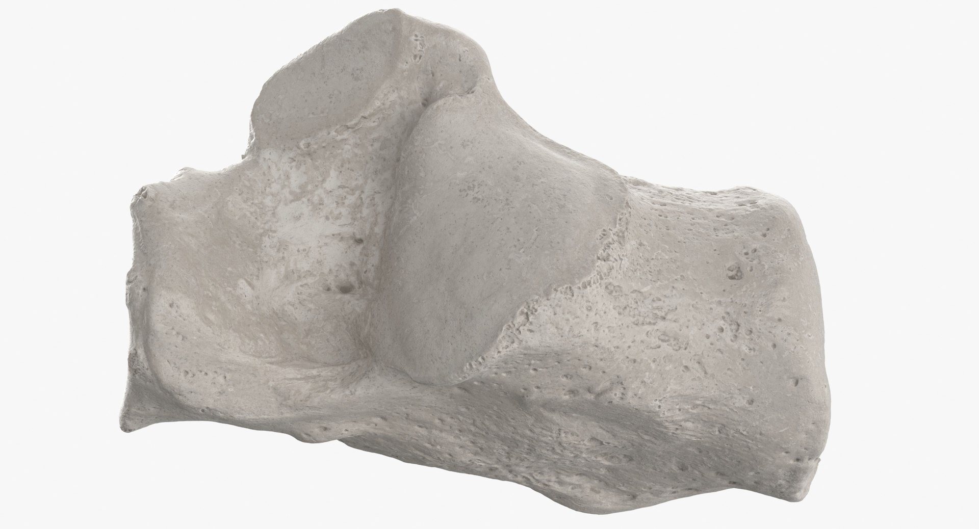 Calcaneus Bone 01 White 3D Model - TurboSquid 1567913