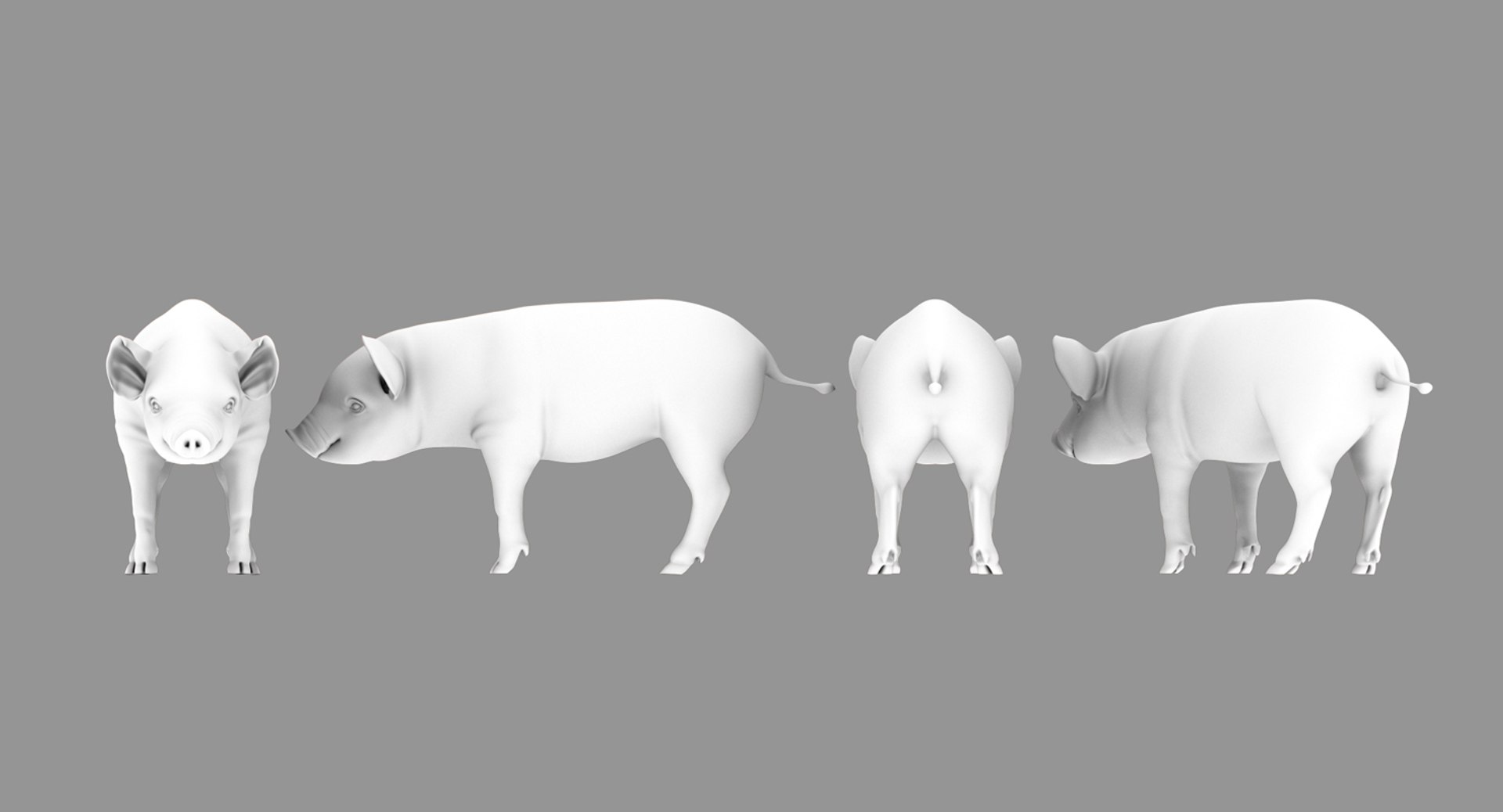Cute Pig 3D Model - TurboSquid 1539956