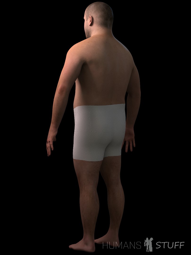 3d Body Human Model
