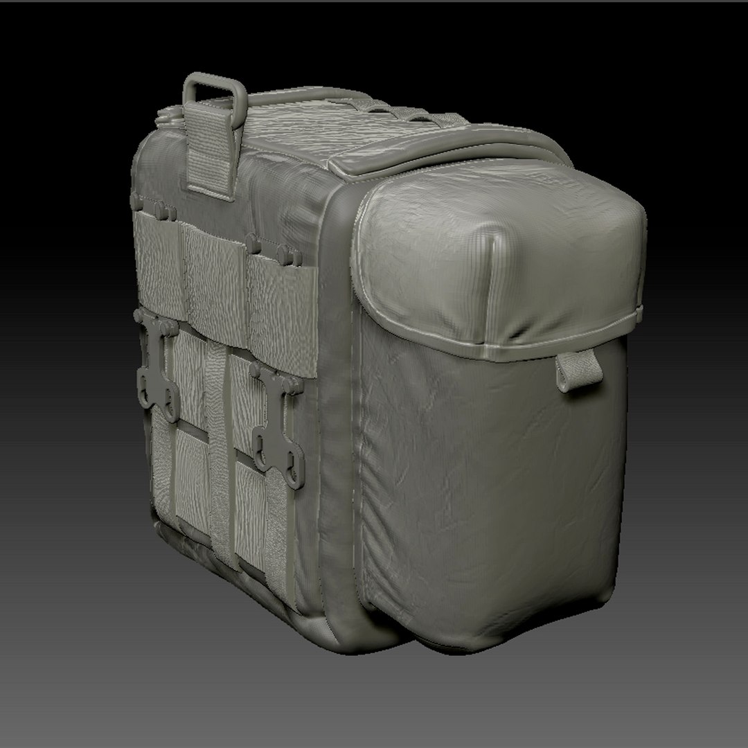 hi gas mask pouch 3d model