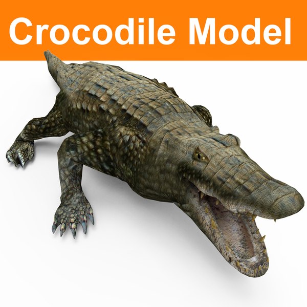 Blender Crocodile Models | TurboSquid