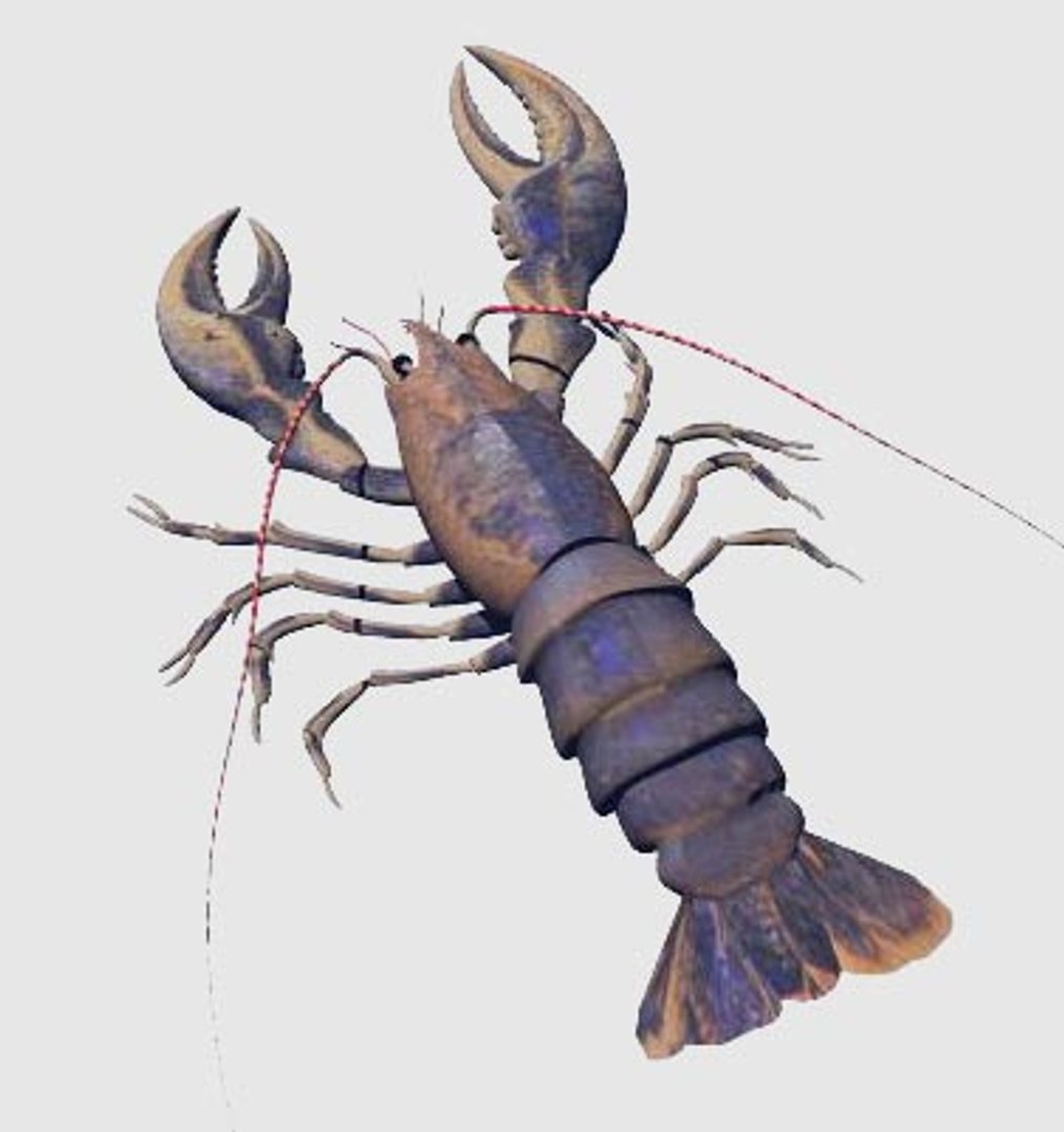 Lobster 3d Pz3