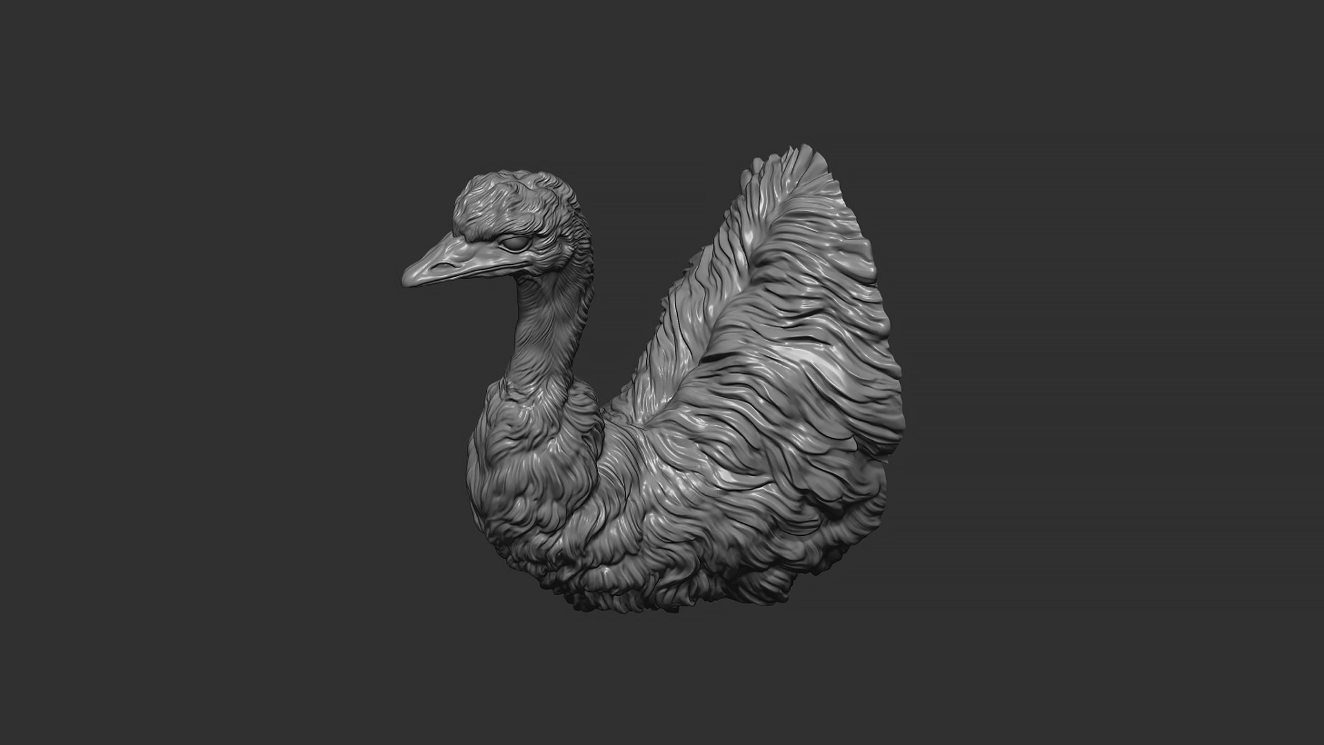Emu Ostrich Bust 3D Model - TurboSquid 2102909