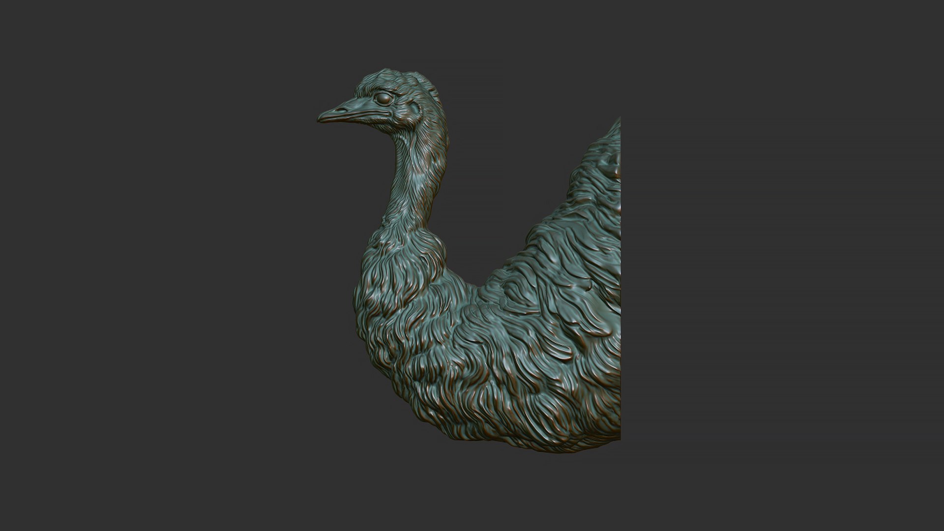 Emu Ostrich Bust 3D Model - TurboSquid 2102909