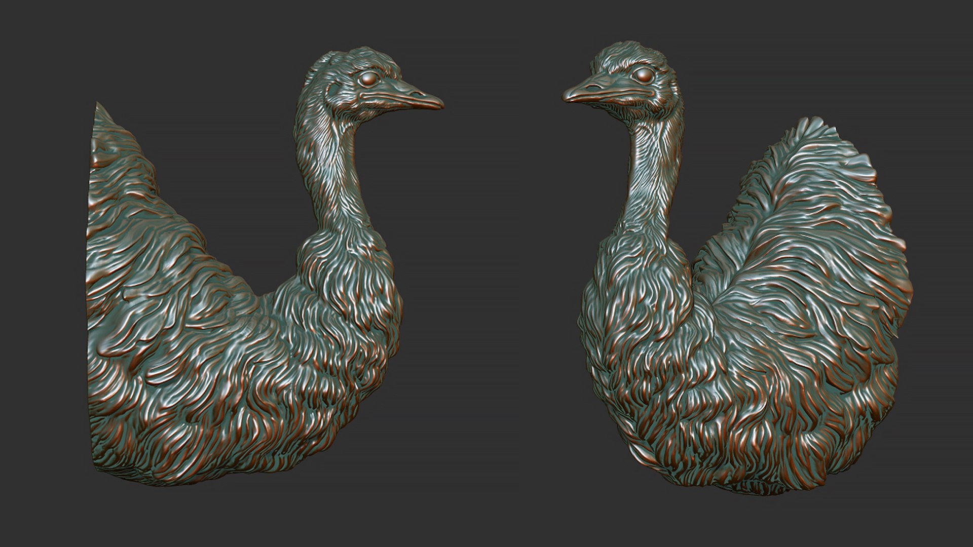 Emu Ostrich Bust 3D Model - TurboSquid 2102909