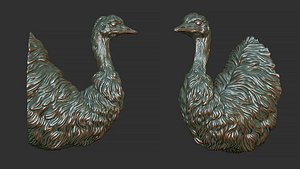 3D Emu Models - Browse & Download Formats - TurboSquid