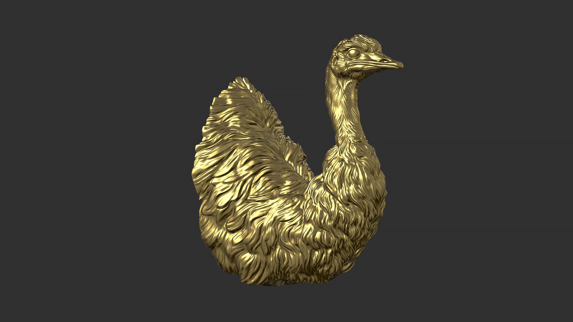 Emu Ostrich Bust 3D Model - TurboSquid 2102909