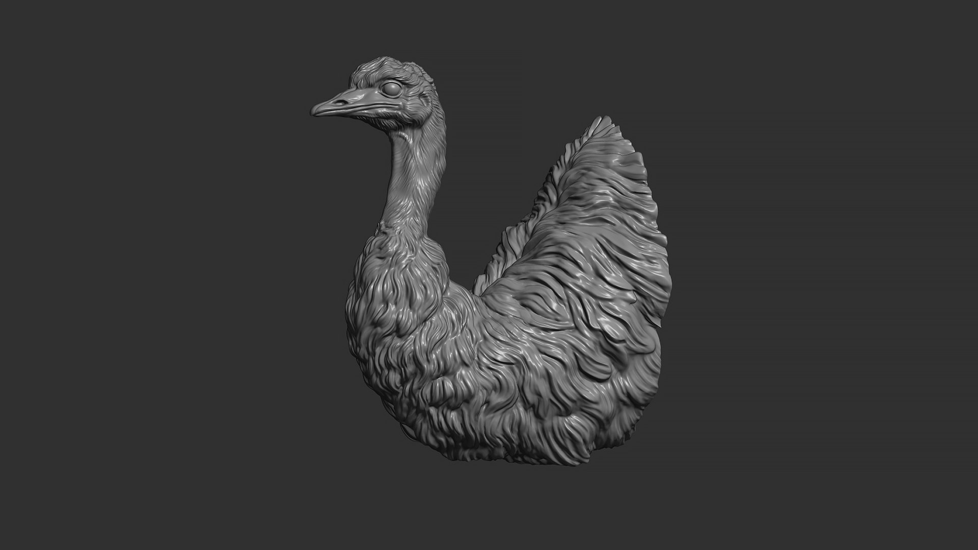 Emu Ostrich Bust 3D Model - TurboSquid 2102909
