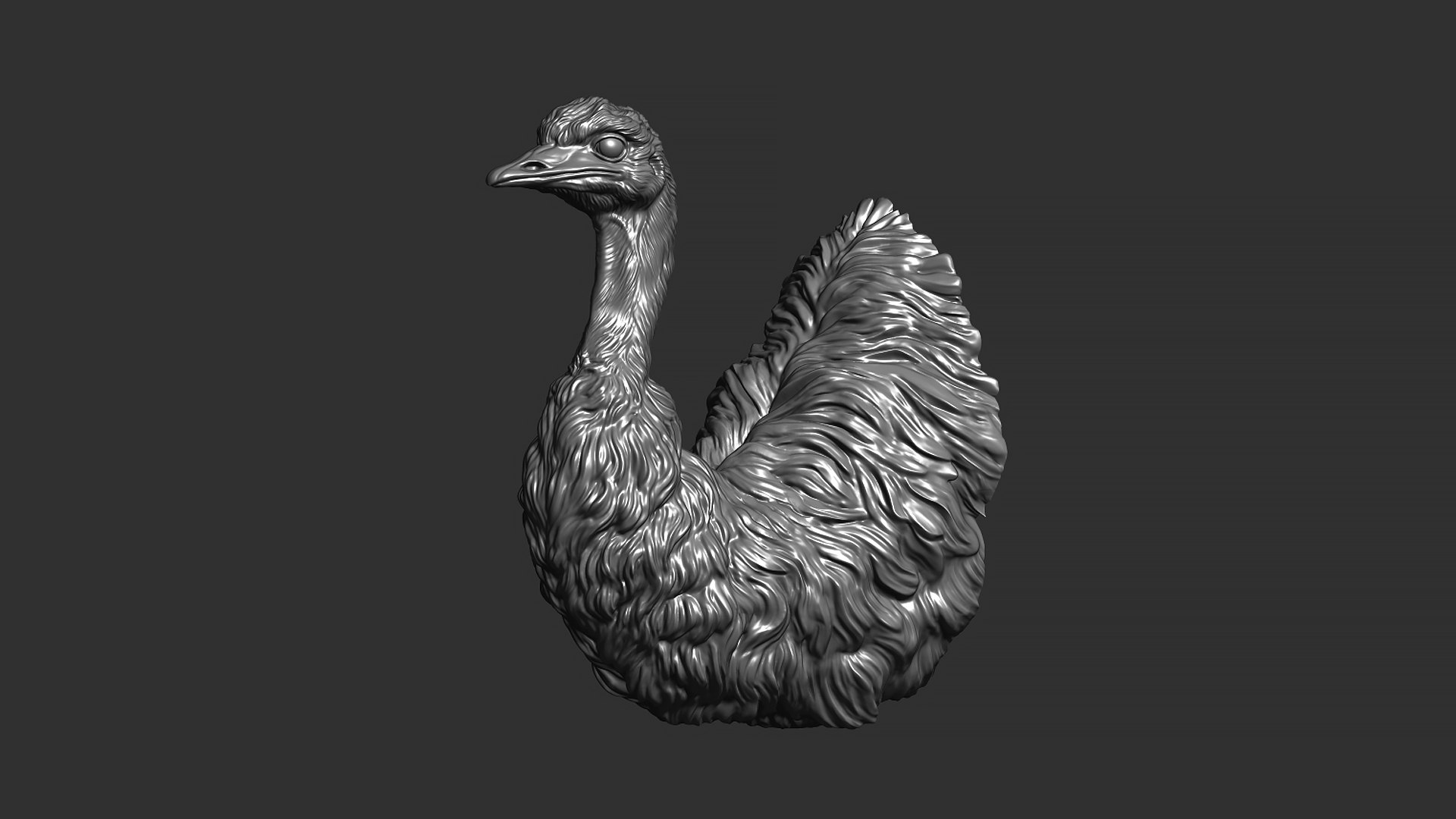 Emu Ostrich Bust 3D Model - TurboSquid 2102909