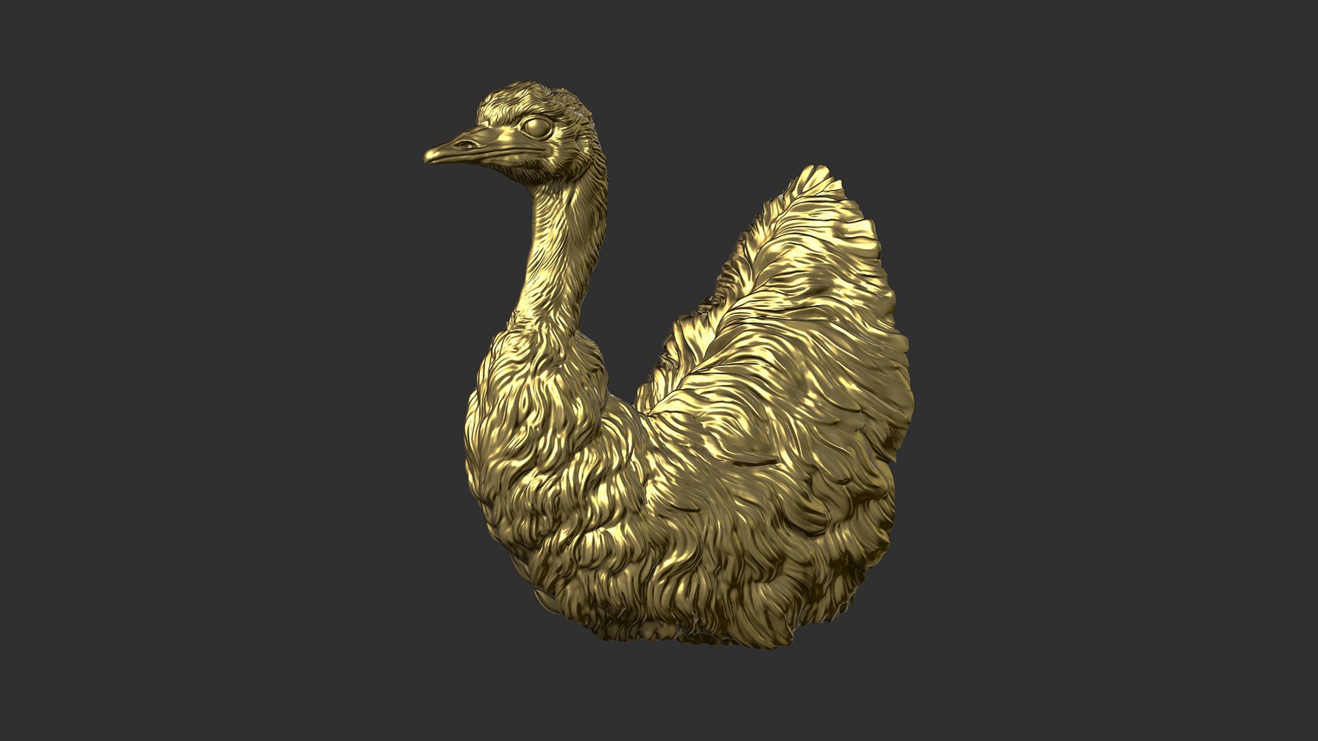 Emu Ostrich Bust 3D Model - TurboSquid 2102909