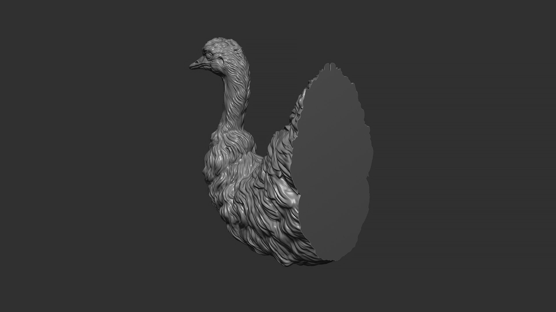 Emu Ostrich Bust 3D Model - TurboSquid 2102909