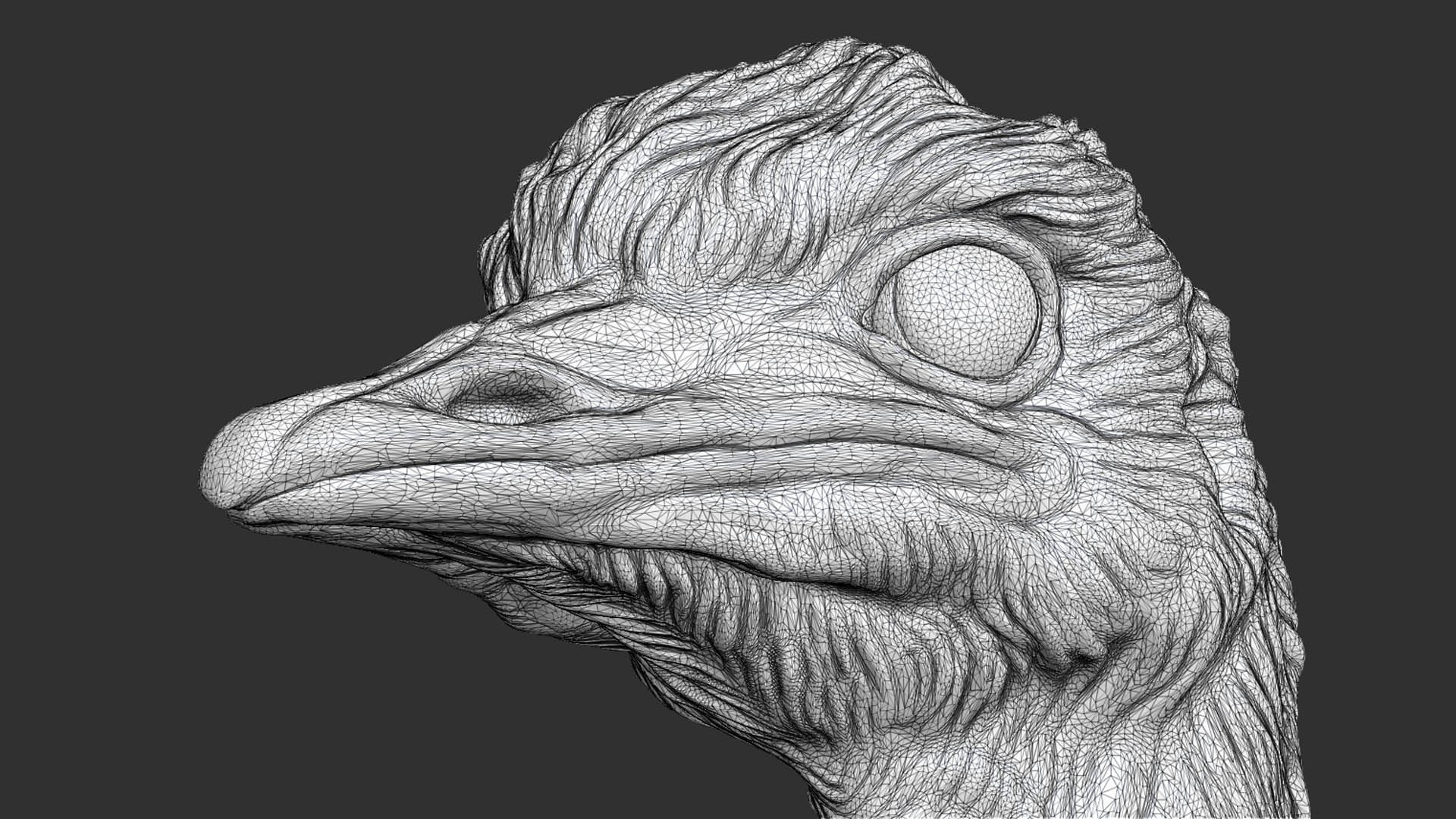 Emu Ostrich Bust 3D Model - TurboSquid 2102909