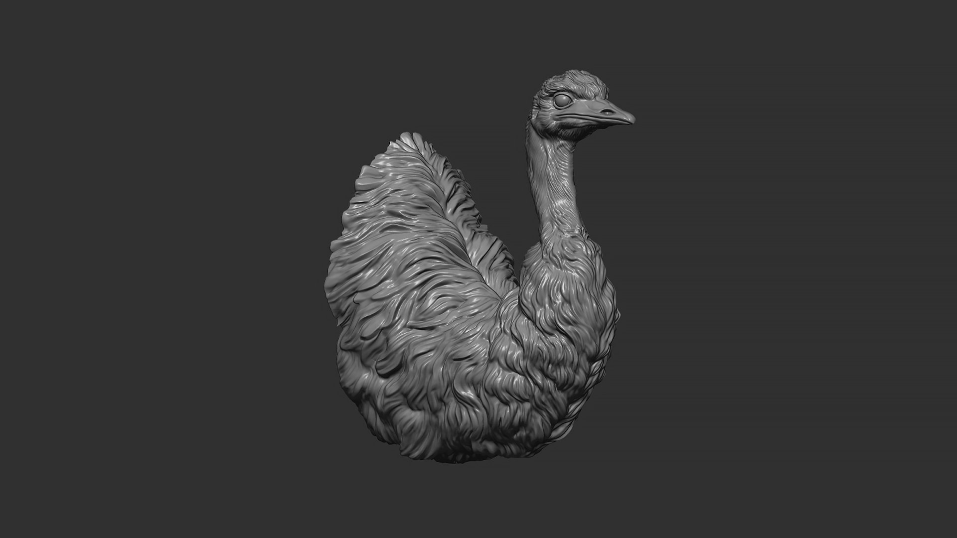 Emu Ostrich Bust 3D Model - TurboSquid 2102909