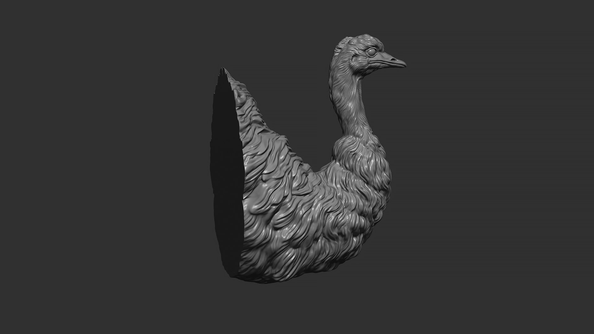 Emu Ostrich Bust 3D Model - TurboSquid 2102909
