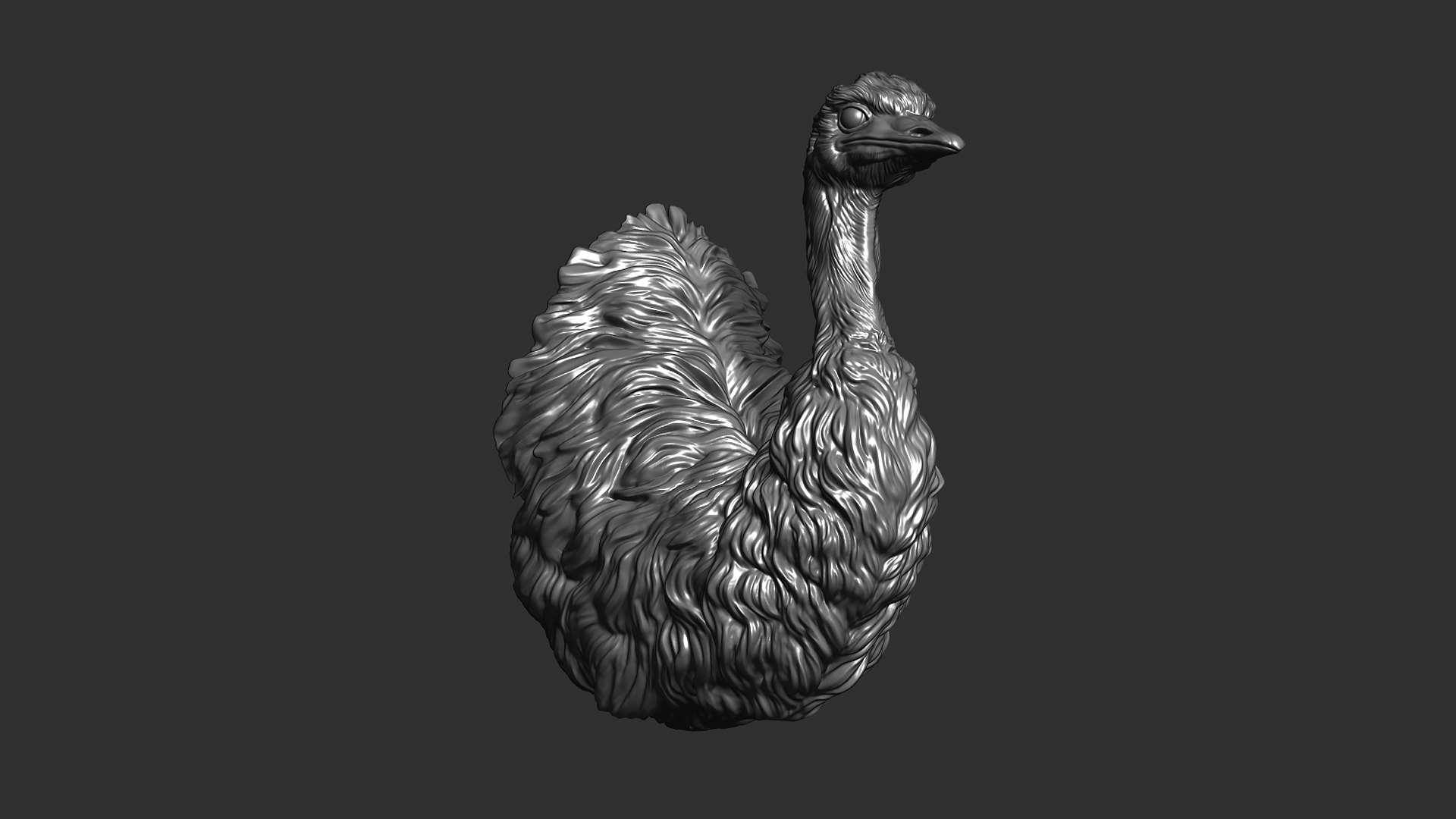 Emu Ostrich Bust 3D Model - TurboSquid 2102909